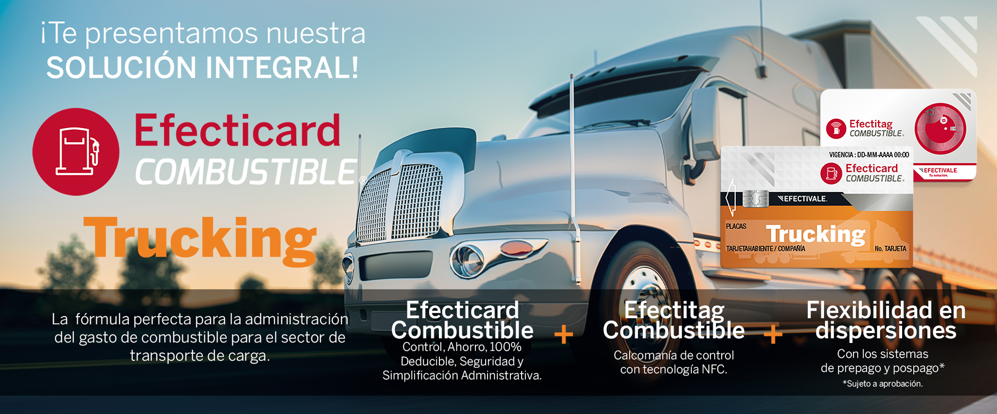 Efectivale | Vales de Despensa | Vales de Gasolina, Comida | Efectivale